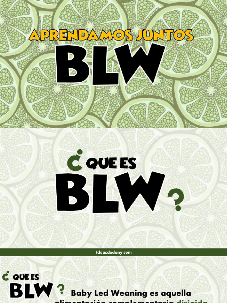 Curso BLW Ideasdedany | PDF