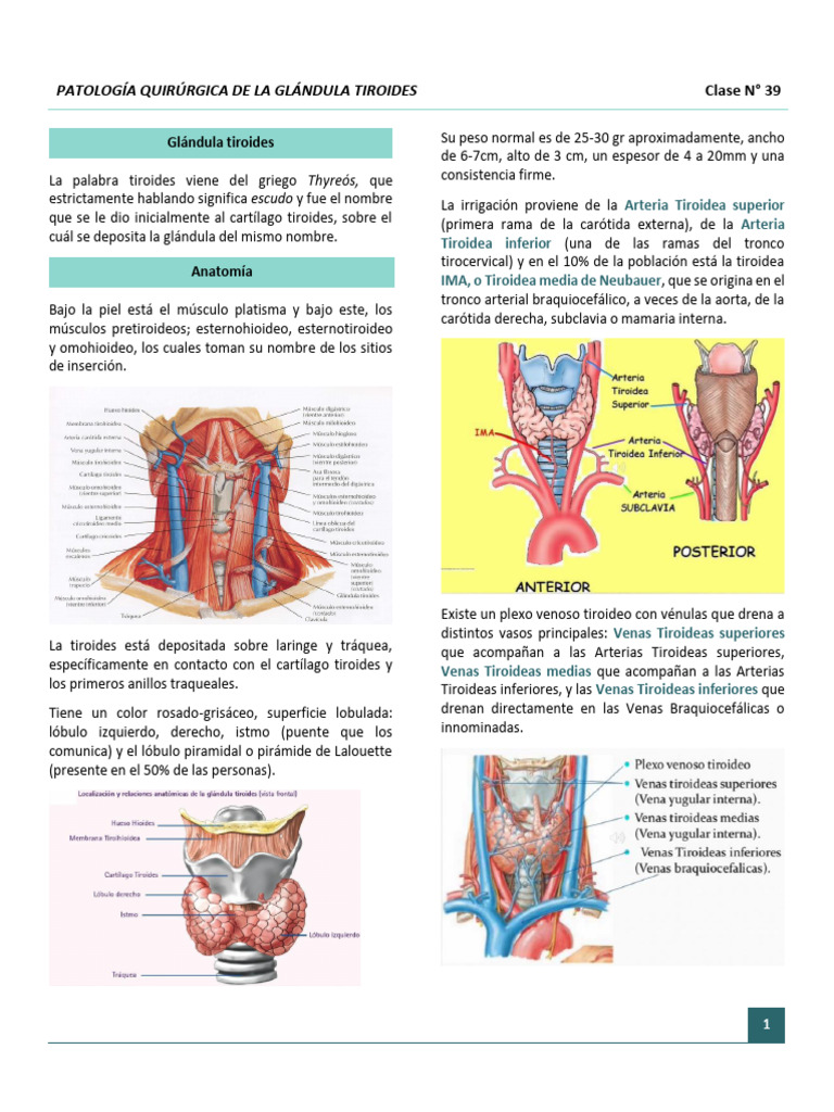 Patología Quirúrgica de La Glándula Tiroides | PDF | Tiroides | Glándula paratiroidea