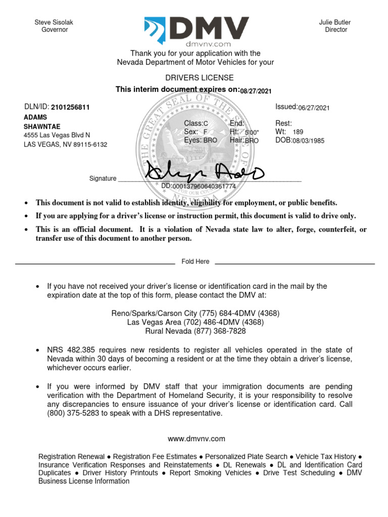 DL Interim Document | PDF | Department Of Motor Vehicles | Driver's License
