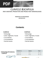 Grashey Method for Shoulder Imaging | PDF | Shoulder | Musculoskeletal ...