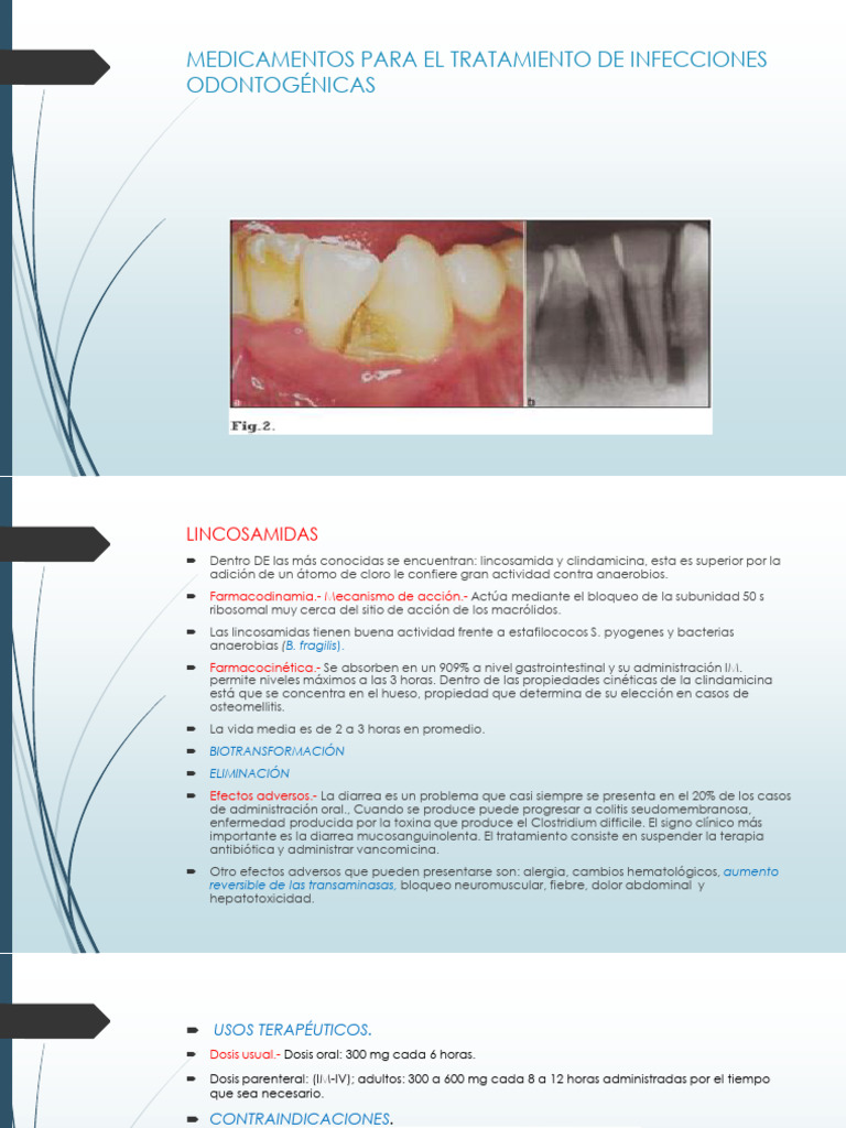 Clindamicina y Secnazol en Infecciones Odontológicas | PDF ...