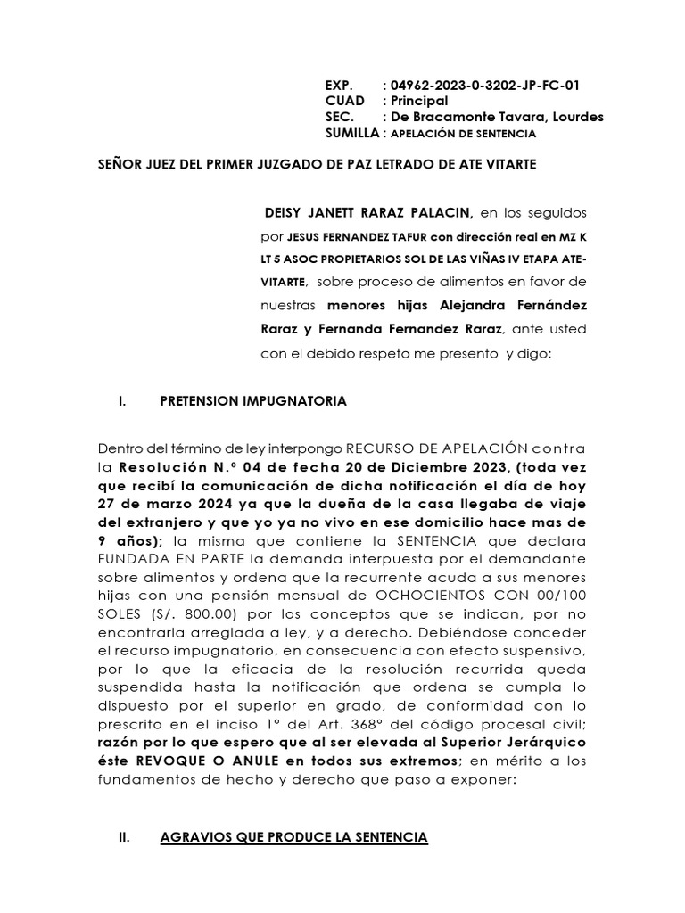 Escrito Apelacion | PDF | Debido al proceso | Sentencia (ley)