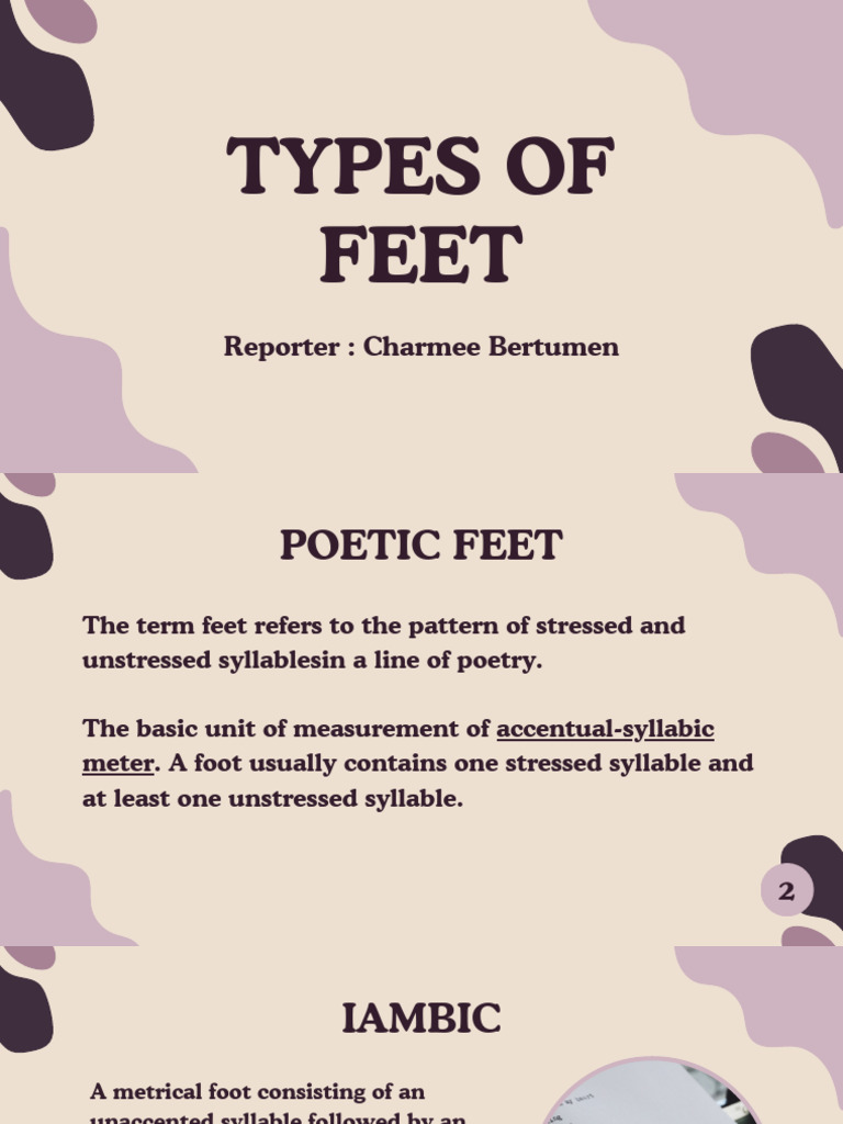 Types of Poetic Feet Explained | PDF