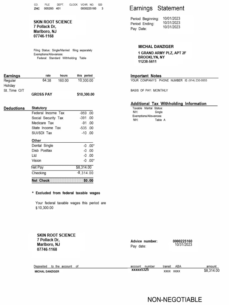 Paystub Michal Dan - 020336 | PDF