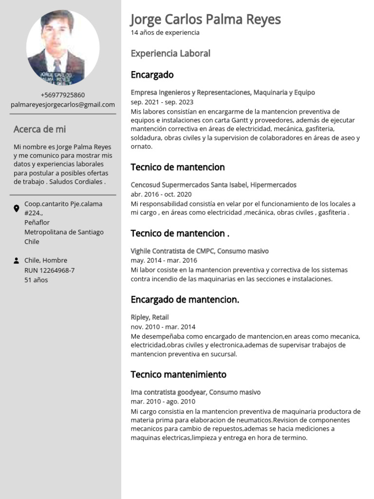 CV Actualizado Jorge Carlos Palma Reyes | PDF