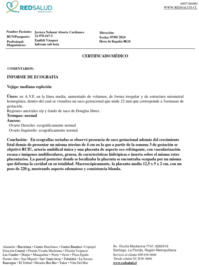 Informe Sub Beta | PDF