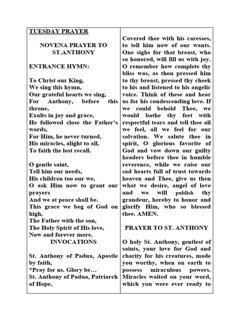 Novena Prayers | PDF | Mary, Mother Of Jesus | Glory (Religion)