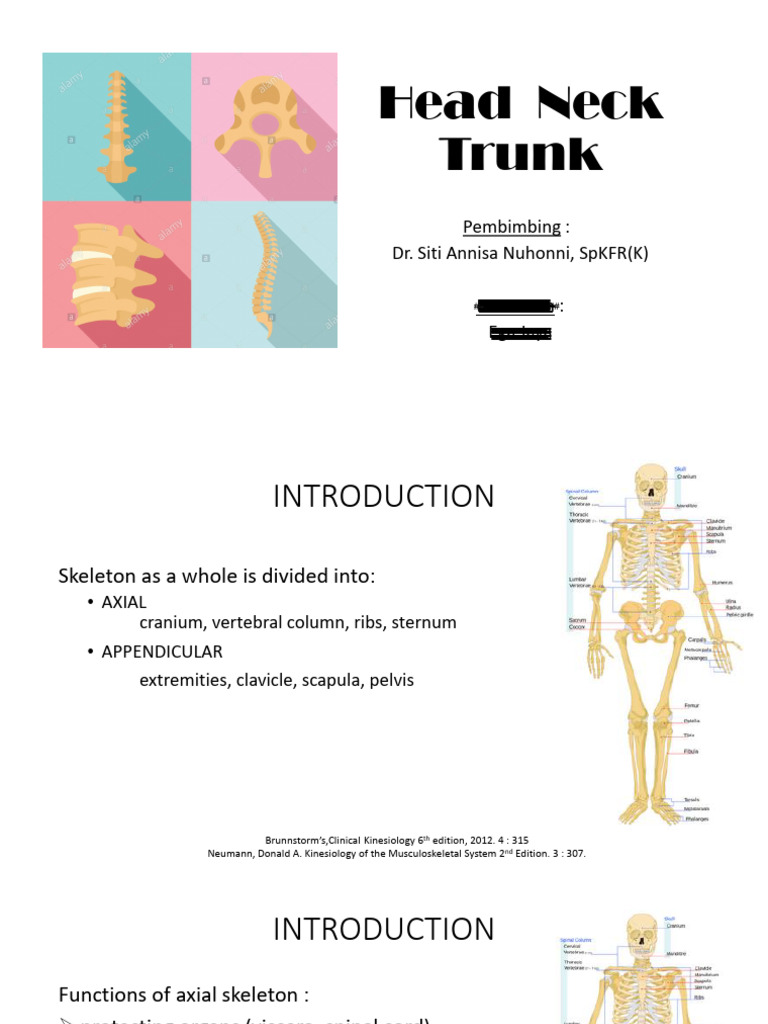 Head, Neck, Trunk | PDF | Vertebra | Vertebral Column