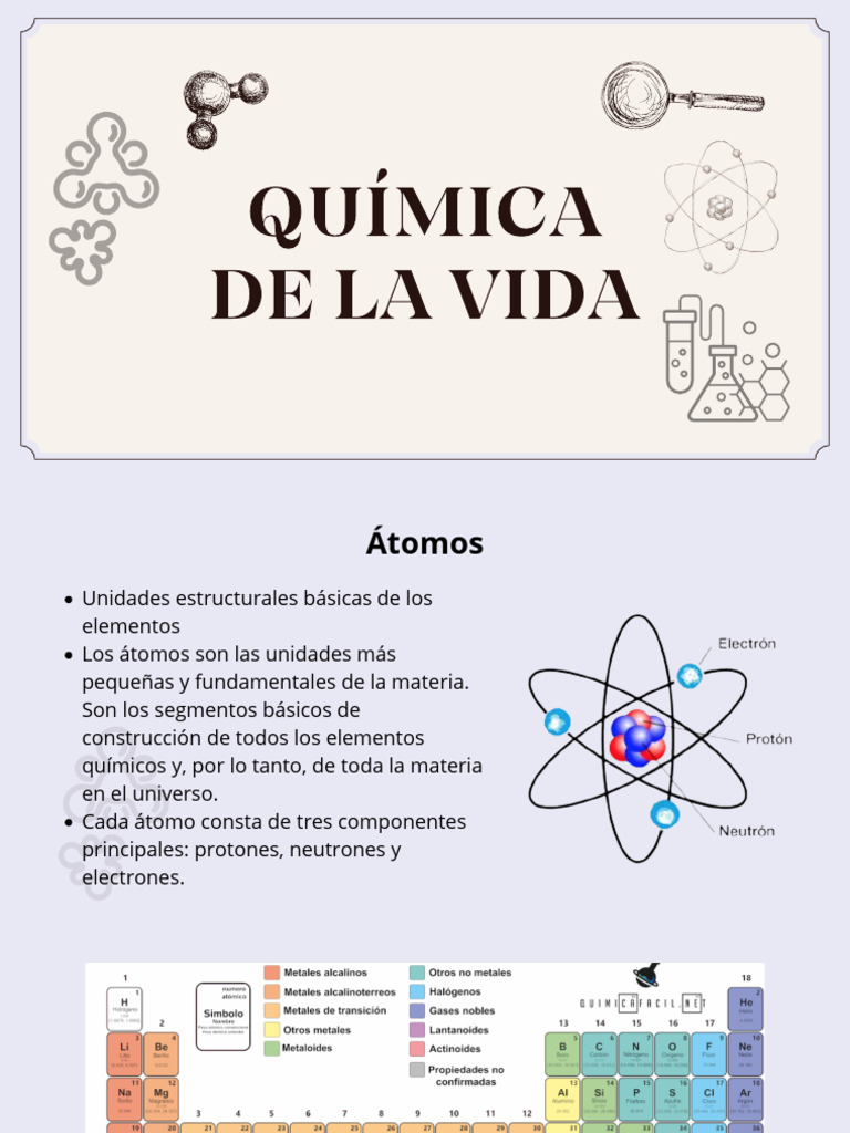 Biomole Culas | Descargar gratis PDF | Carbohidratos | Rna