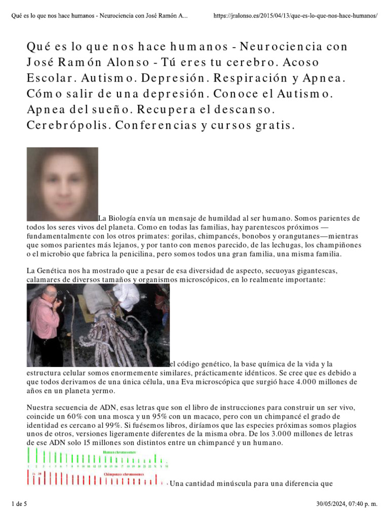 Qué es lo que nos hace humanos - Neurociencia con José Ramón Alonso ...