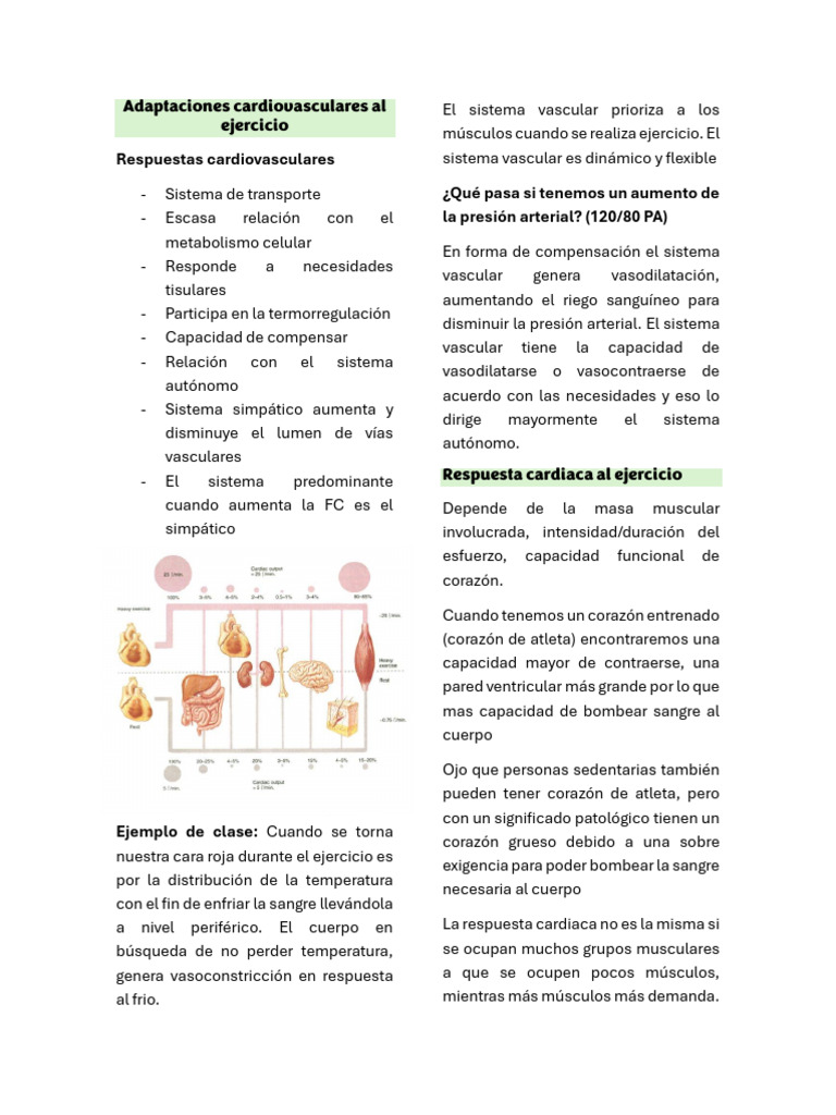 Unidad 2 Fisiologia Del Metabolismo Energético | PDF | Corazón ...