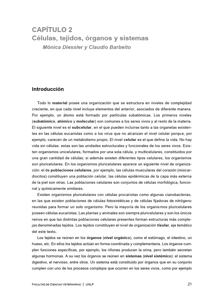Histo3 PDF | PDF | Biología Celular) | Adhesión celular