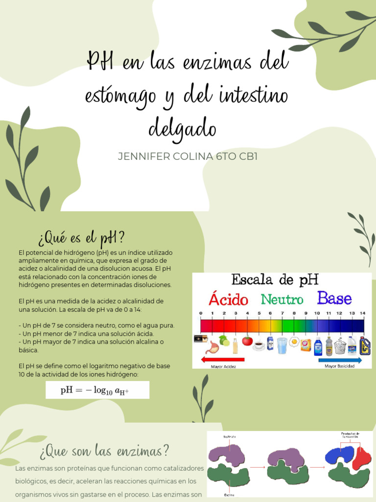 Química Presentacion | PDF | Digestión | Ph