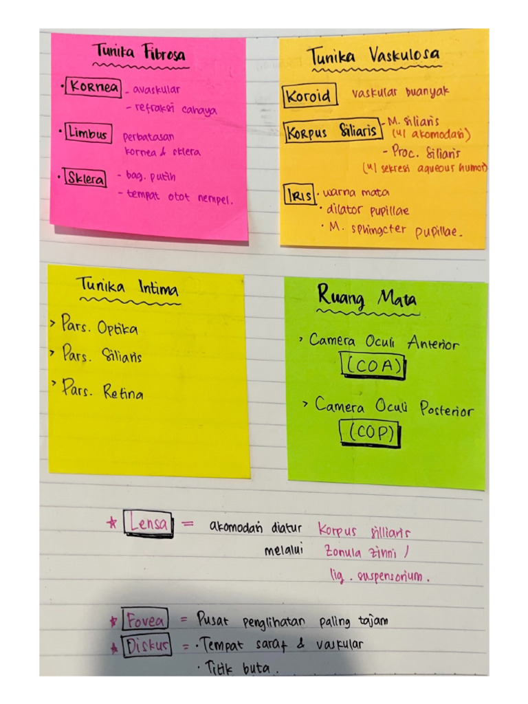 Mata | PDF