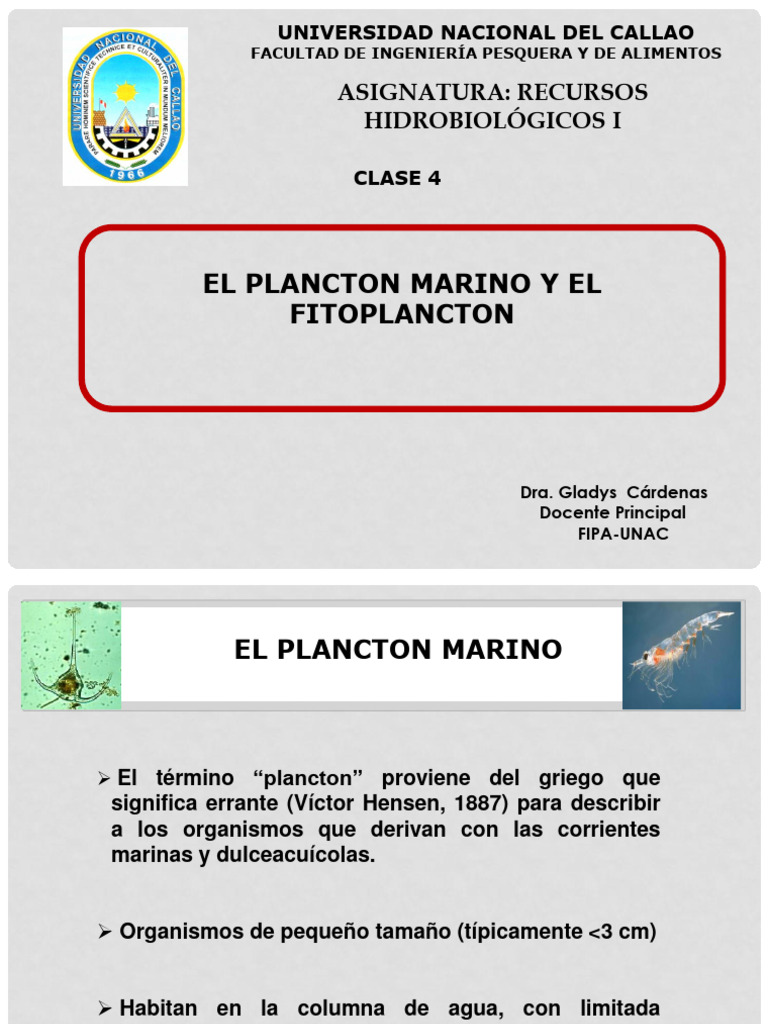 Clase 4. El Plancton - Fitoplancton | Descargar gratis PDF | Plancton ...