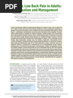 CORE Back Tool | PDF | Low Back Pain | Back Pain