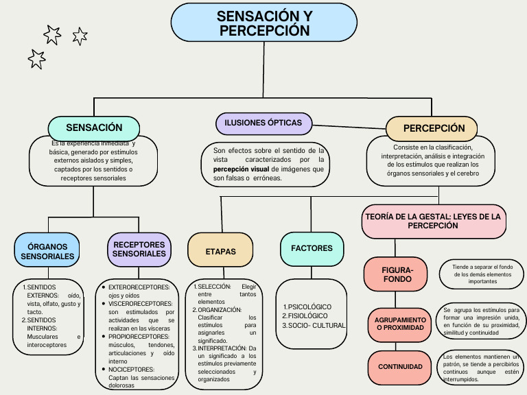 Sensacion y Percepcion | PDF | Percepción | Sentidos
