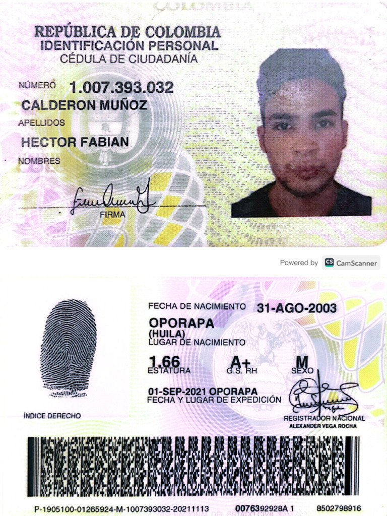 Cédula Fabián Calderón | PDF