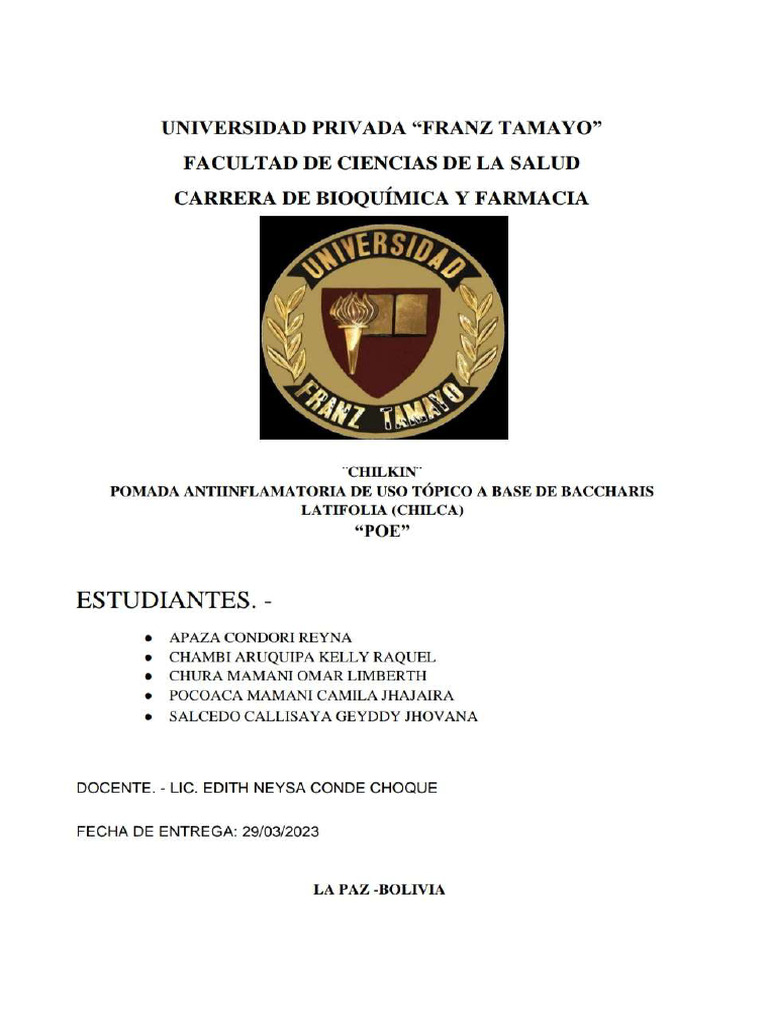 PROYECTO CHILKIN - Merged | PDF | Hogar, jardinería y bricolaje