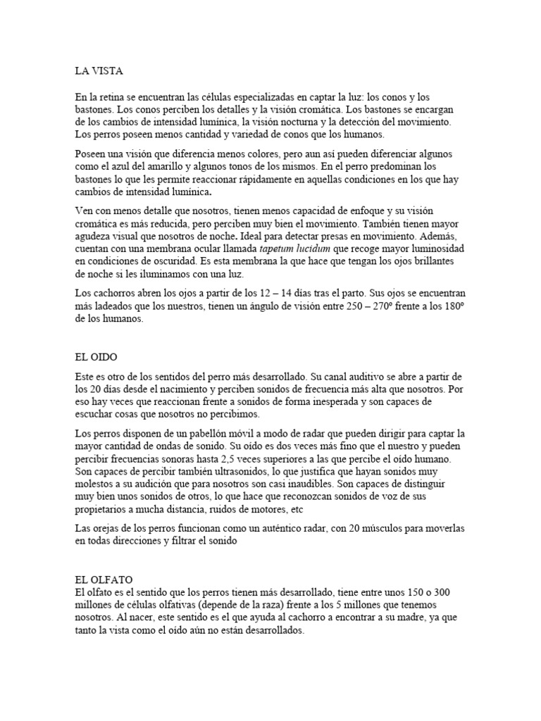 Sentidos de los perros: vista, oído y olfato | PDF | Percepción visual ...