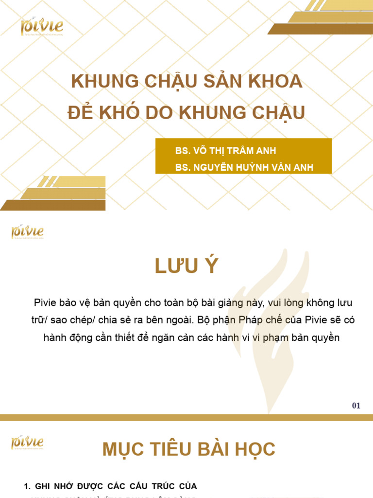 Khung chậu - Đẻ khó do khung chậu final | PDF