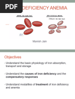 BC Iron Deficiency Guidelines Summary | PDF | Iron | Anemia