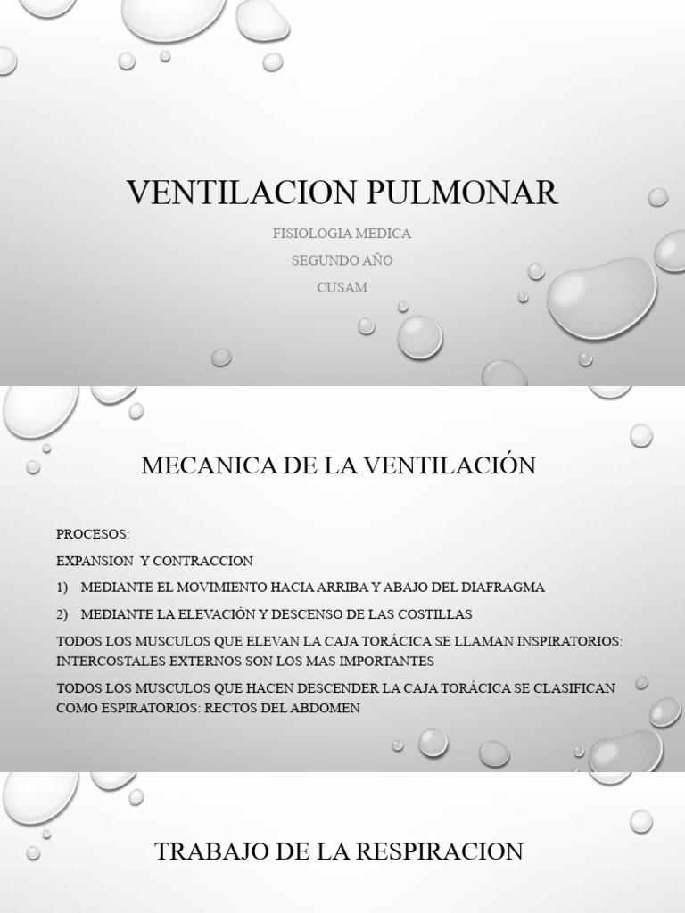 Fisiología de la Ventilación Pulmonar | PDF | Pulmón | Sistema respiratorio