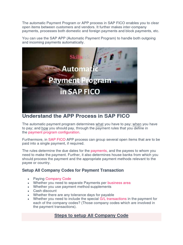 SAP FICO APP Setup Guide | PDF | Payments | Accounts Payable
