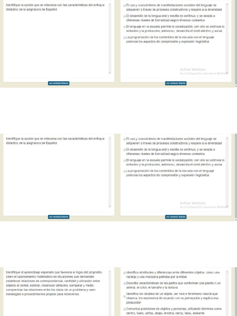 Primer Simulador | PDF