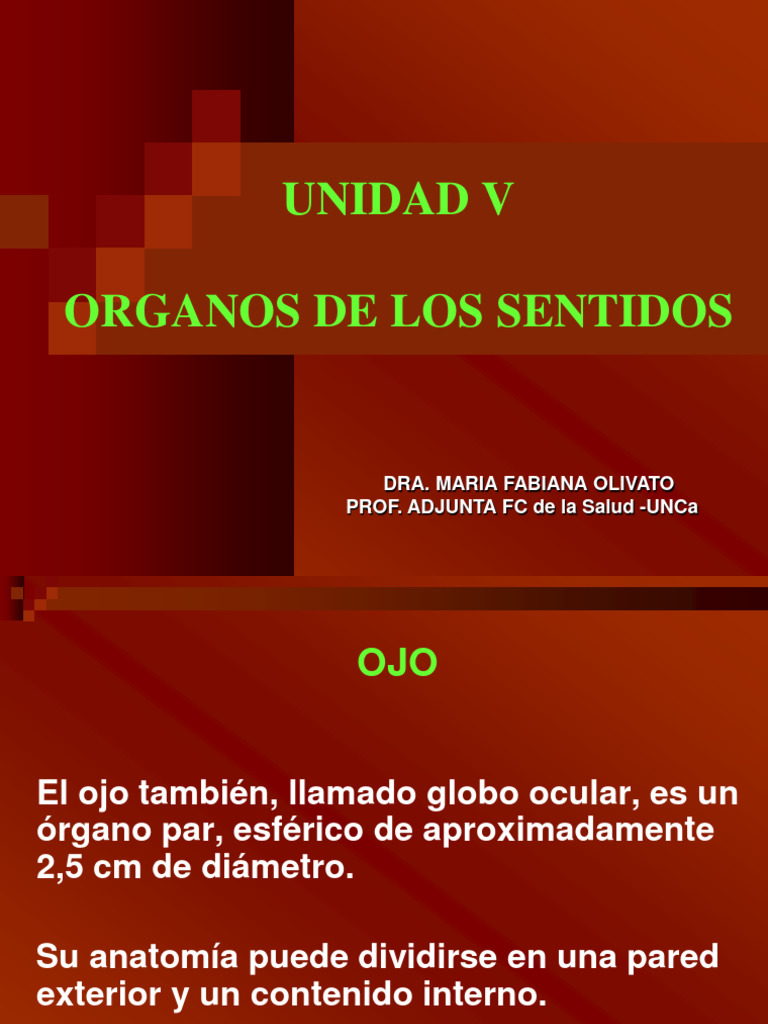 Unidad V Organos de Los Sentidos: Dra. Maria Fabiana Olivato Prof ...