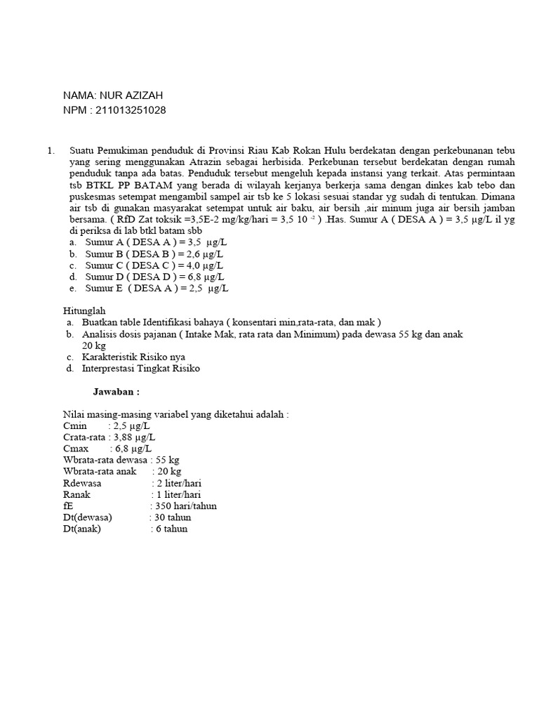 Nur Azizah. Rvsi | PDF