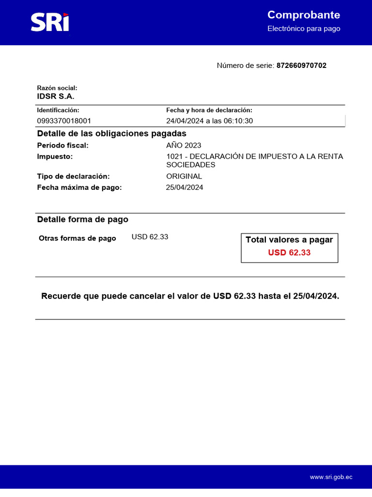 Comprobante De Pago Pdf