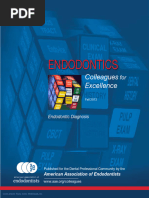 AAE Endo Diagnosis 230611 113009 | PDF | Medical Diagnosis | Dentistry ...