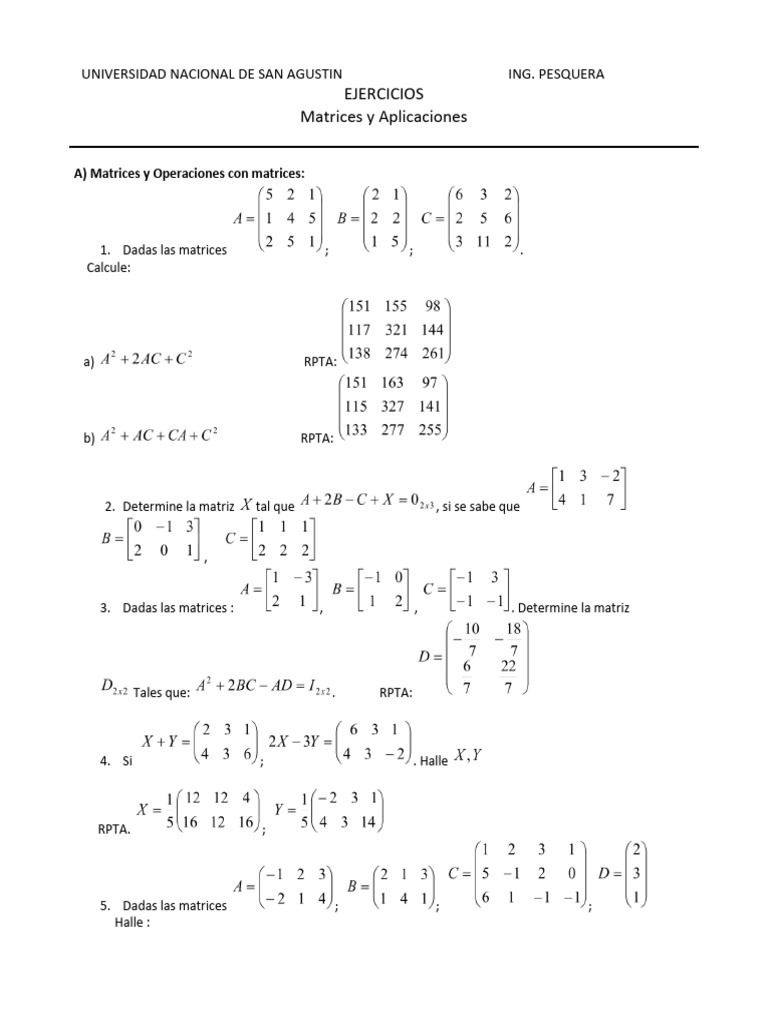 Ejercicios de Matrices | Descargar gratis PDF | Matriz (Matemáticas) | Funciones y mapeos