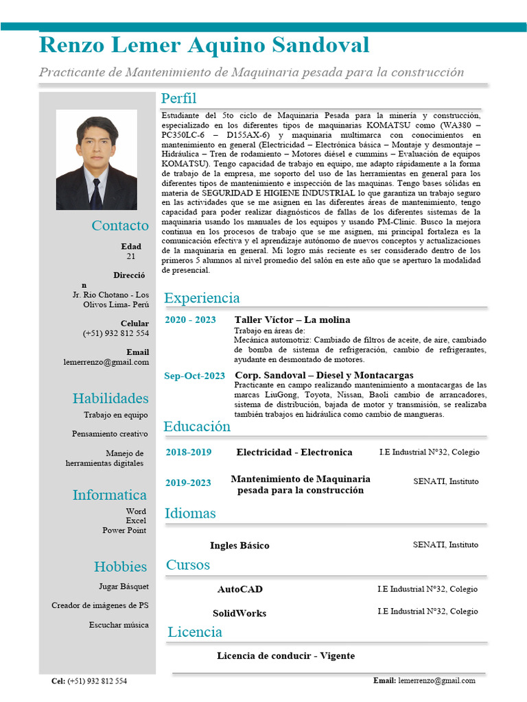 CV 2022 Renzo | PDF | Ingeniería