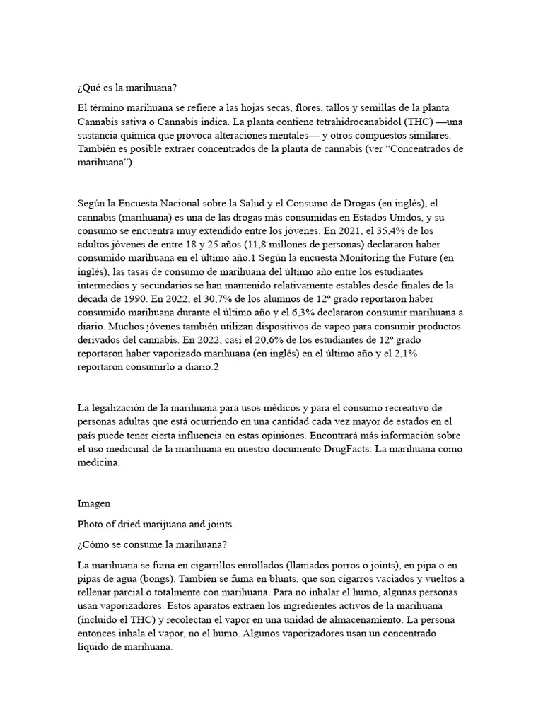 Marihuana Descargar Gratis Pdf Cannabis Droga Drogas