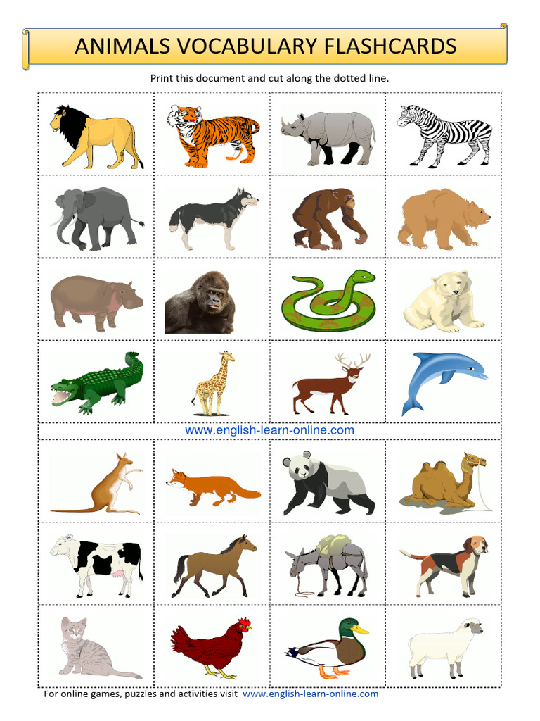 Animals Vocabulary Flashcards Worksheet | PDF