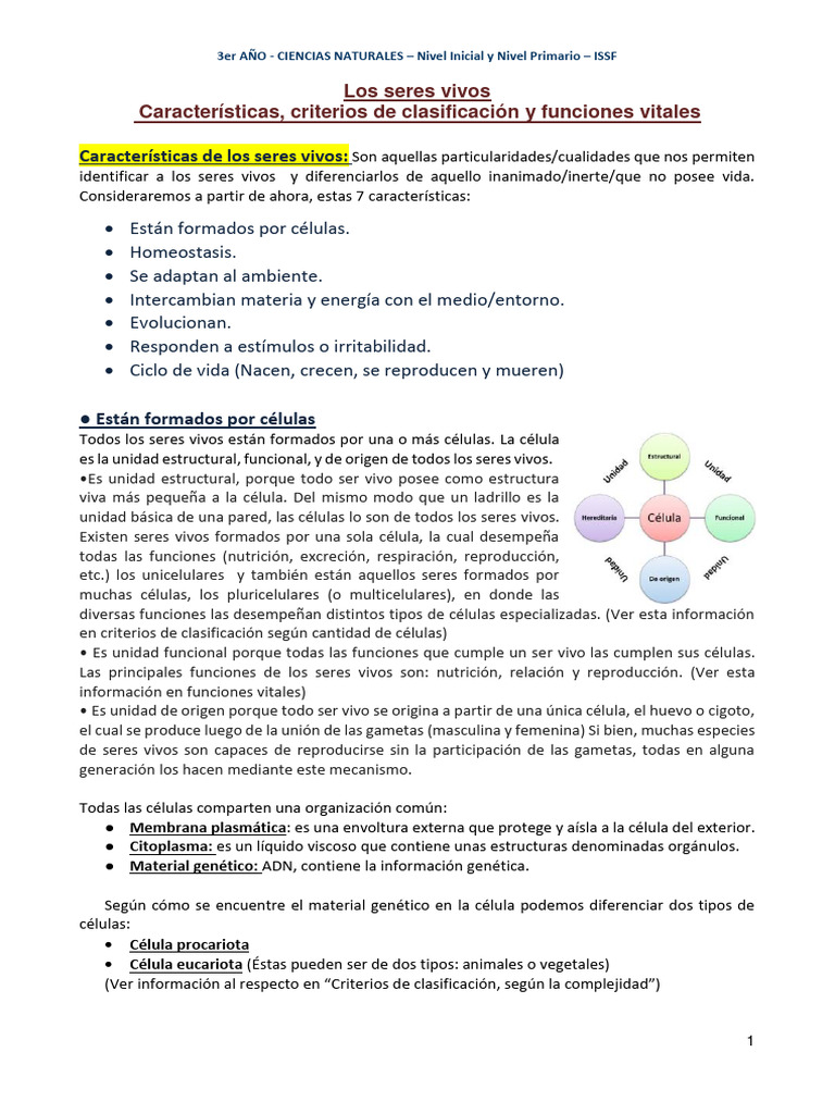 Los Seres Vivos - Caracteristicas Funciones Vitales y Criterios de ...