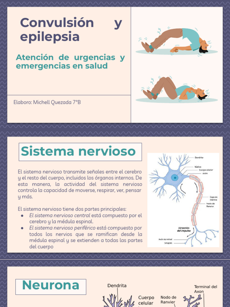Convulsión y Epilepsia | PDF | Neurona | Epilepsia