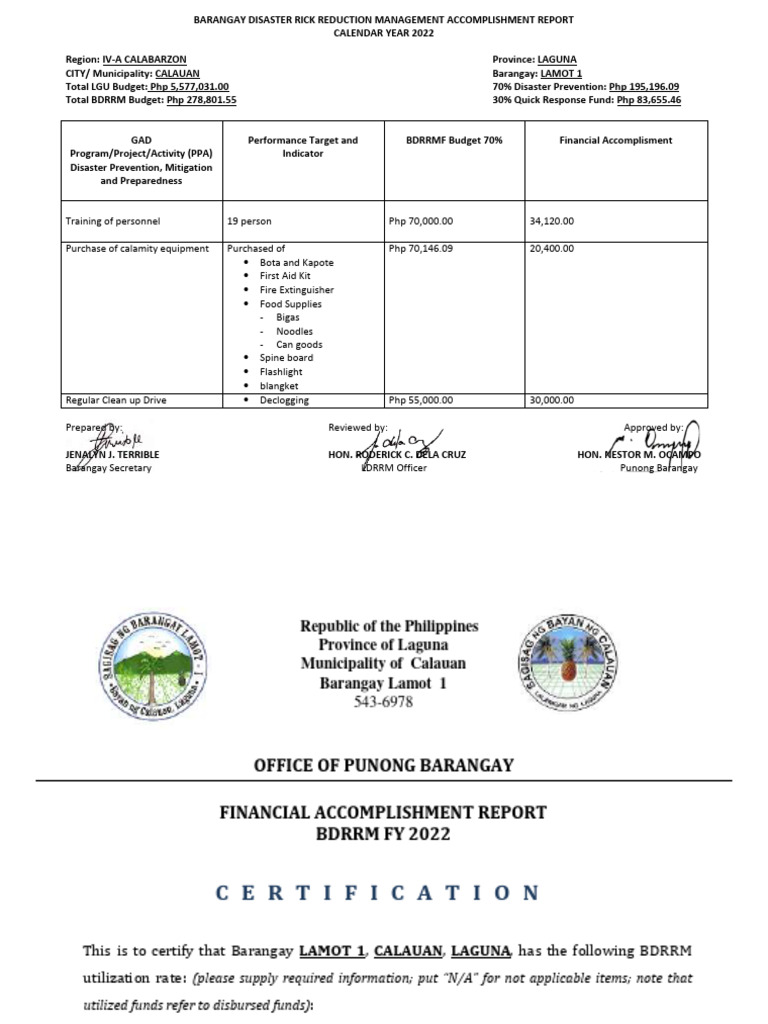 2.1.4 B) Annual Report On The Utilization of The LDRRMF - PDF 1 | PDF | Emergency Management