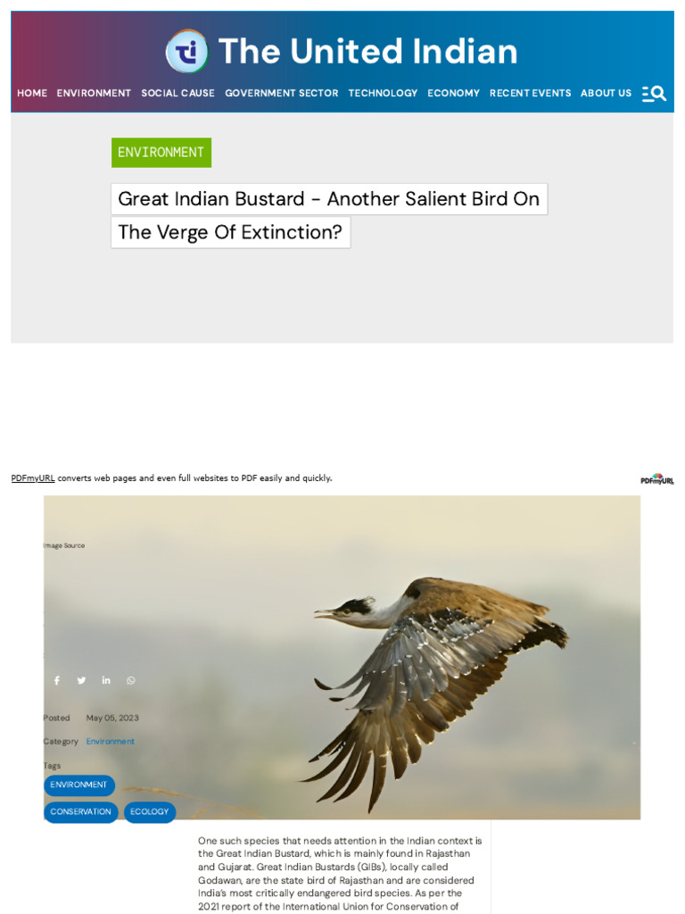 Project Great Indian Bustard | PDF | Conservation Biology | Extinction