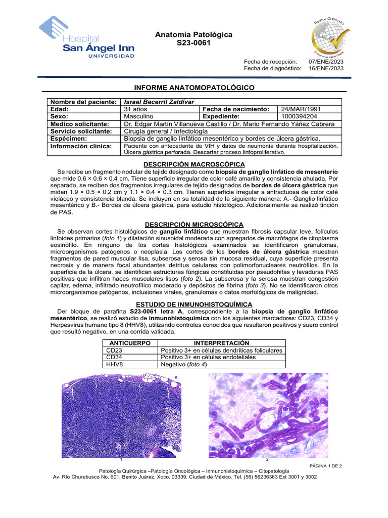 Informe de Biopsia: Candidiasis Invasora | PDF | Ganglio linfático ...