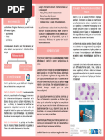 Examen de coproculture des selles | PDF | Salmonelle | Bactérie