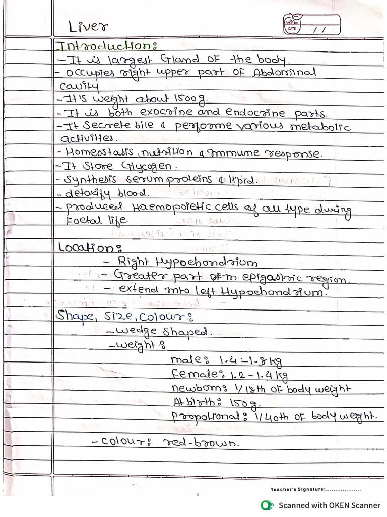 Liver Anatomy Handwritten Notes | PDF