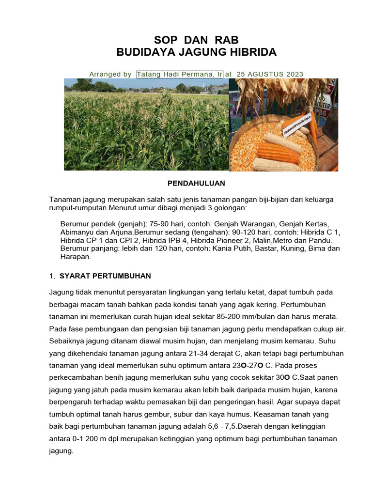 Sop & Rab Budidaya Jagung Hibrida Baznas | PDF