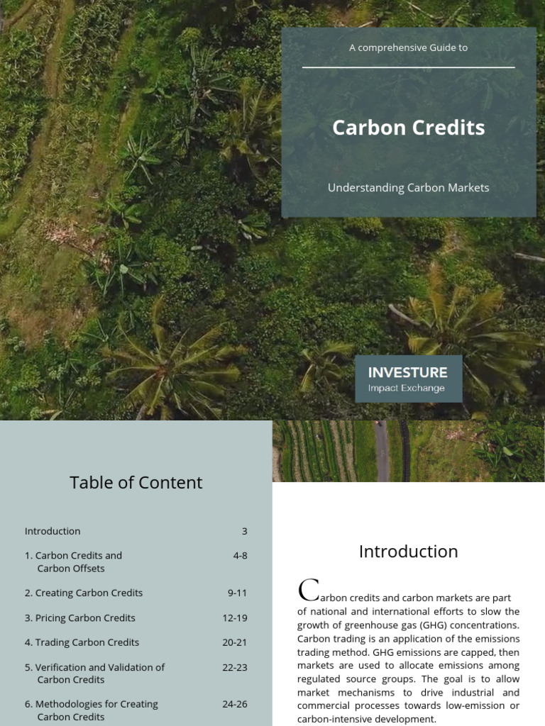 Investure - Carbon Credits | PDF | Clean Development Mechanism ...