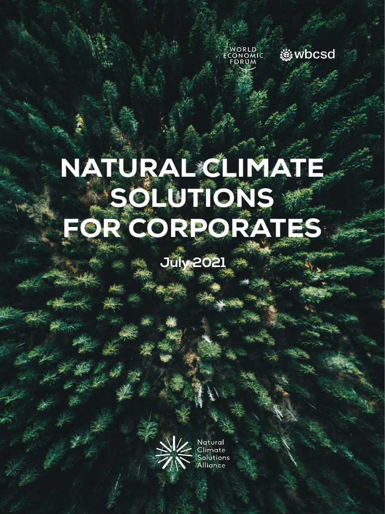 Natural Climate Solutions For Corporates | PDF | Climate Change ...