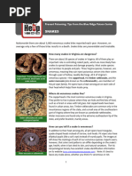 Awareness Safety Talk SNAKE HAZARDS | PDF | Snake | Venomous Snakes
