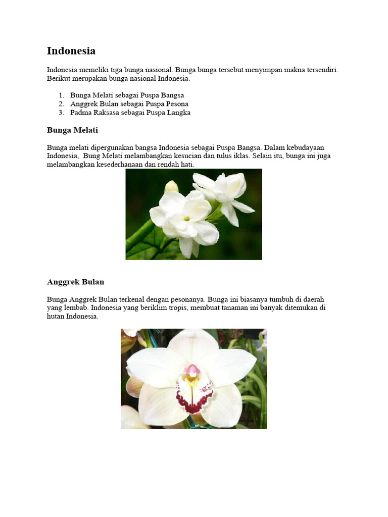 Bunga Nasional Negara Asean | PDF | Griya & Taman | Sains & Matematika