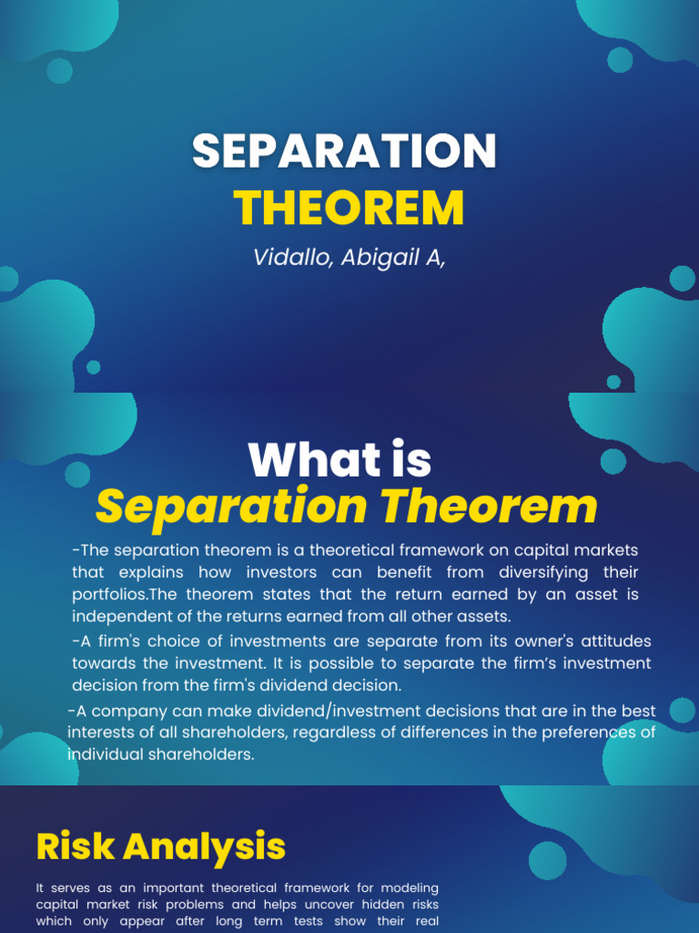 Separation Theorem - Written Report | PDF